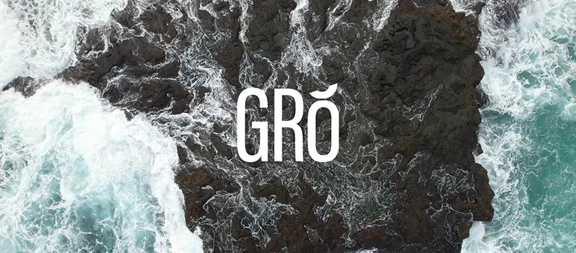 Forsíða - Gró